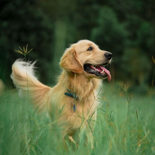 Brisbane Photographer — Weddings, Portraits & Commercial | Shuttercraft