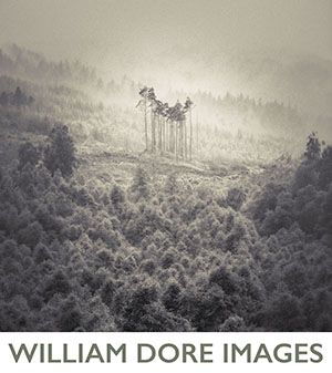 William Dore Images - HOME