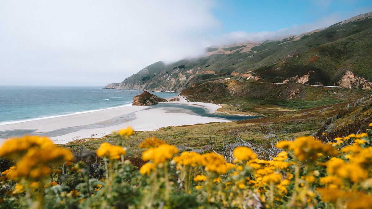 Jonathan Wang Photography | Jonathan Wang