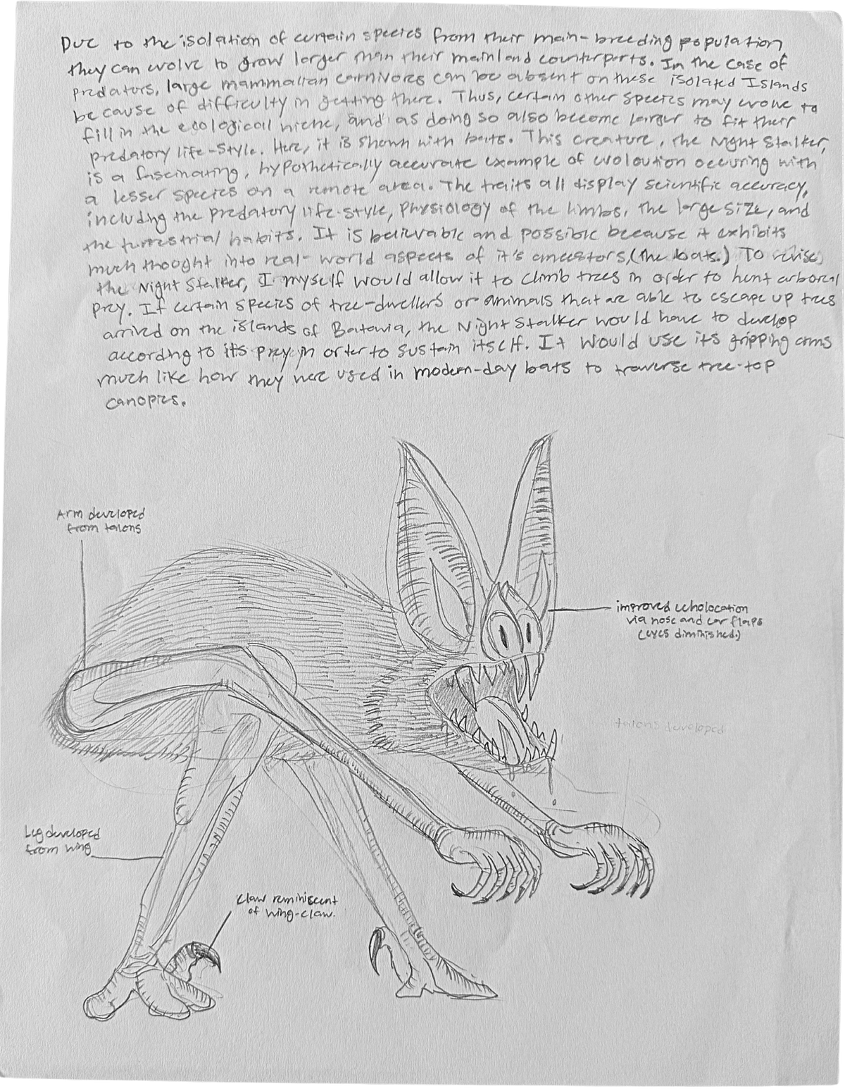 After Man Speculative Evolution Project | Creature Design & Biological ...