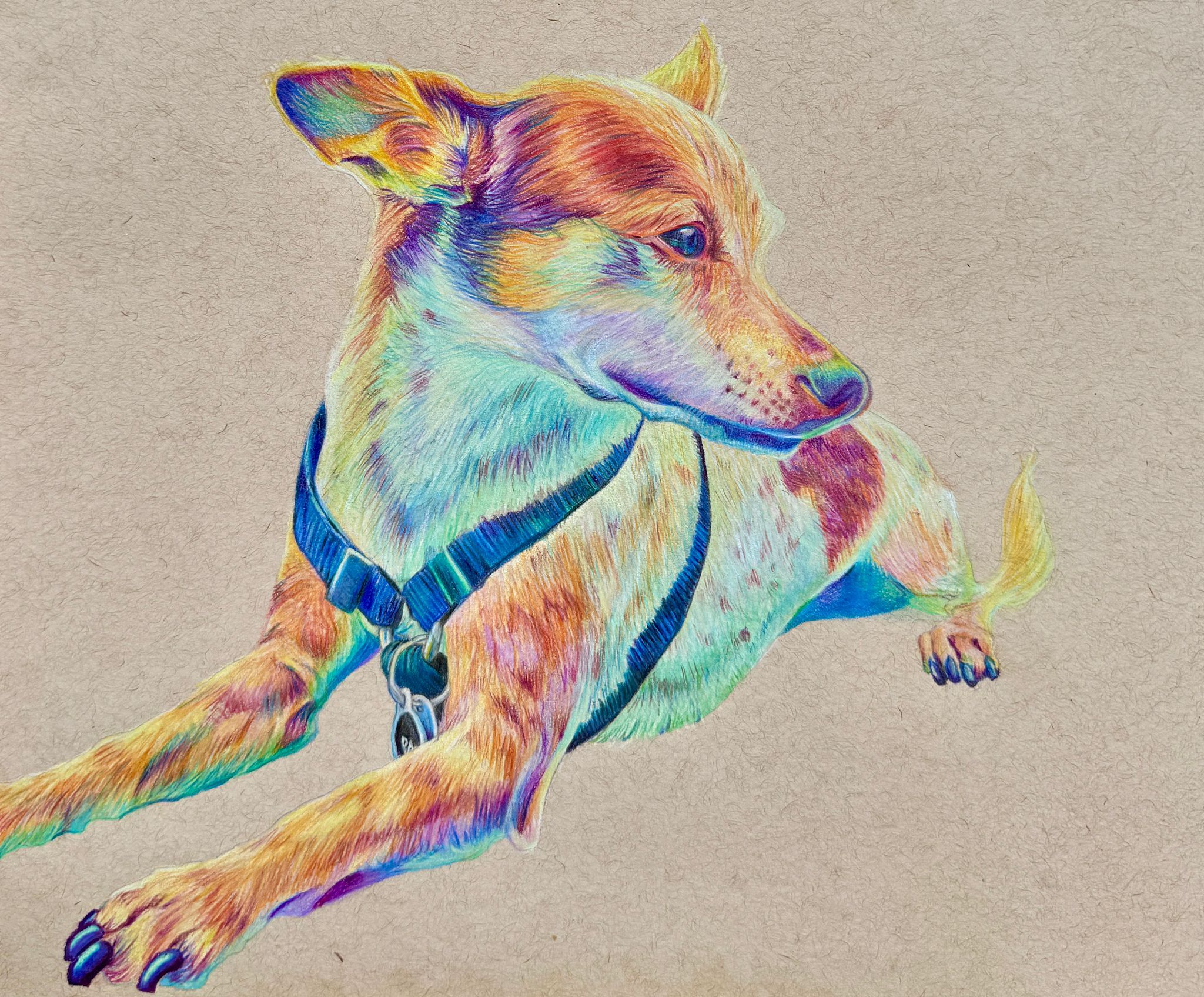 Cat Beaudoin Art | Cat Beaudoin Art